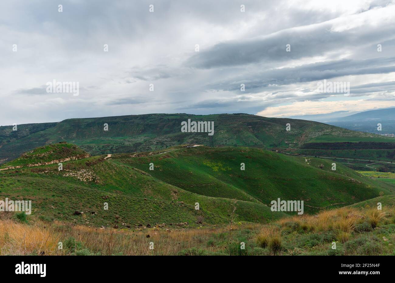 Nature border hi-res stock photography and images - Alamy