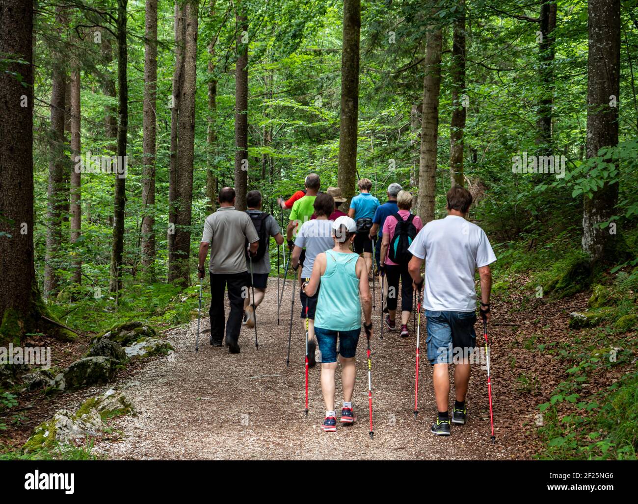 Hiking in the Bavarian Forest in Germany Stock Photo - Alamy