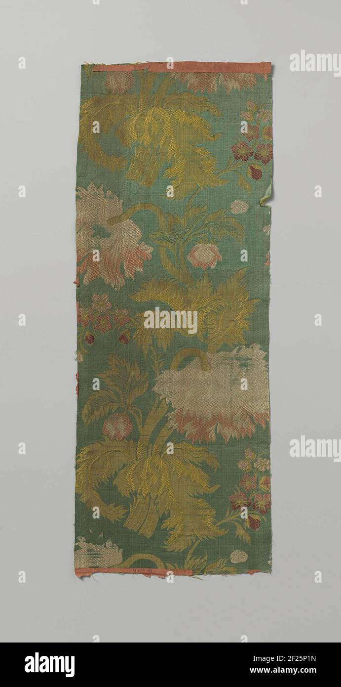 Ditto Leaves High Resolution Stock Photography and Images - Alamy