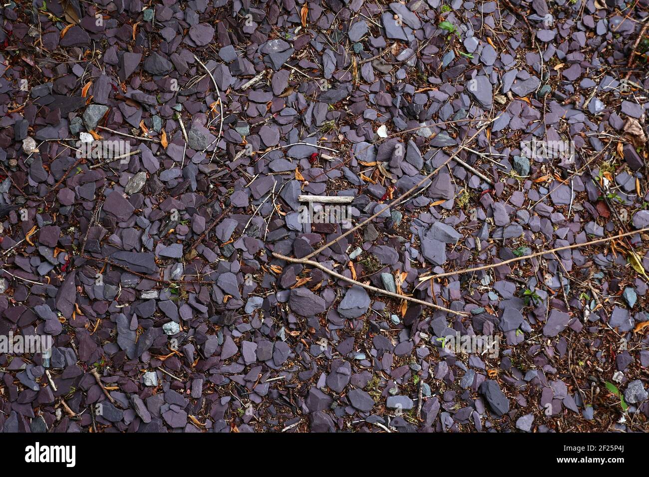 Sharp background image hi-res stock photography and images - Alamy