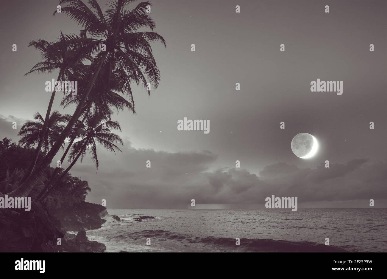 Tropical moonlight beach hi-res stock photography and images - Alamy
