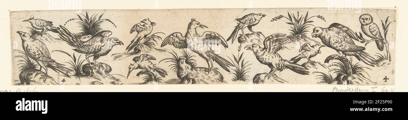 Frisian with eleven birds, right is a owl; Frisians with birds.The Bird ...