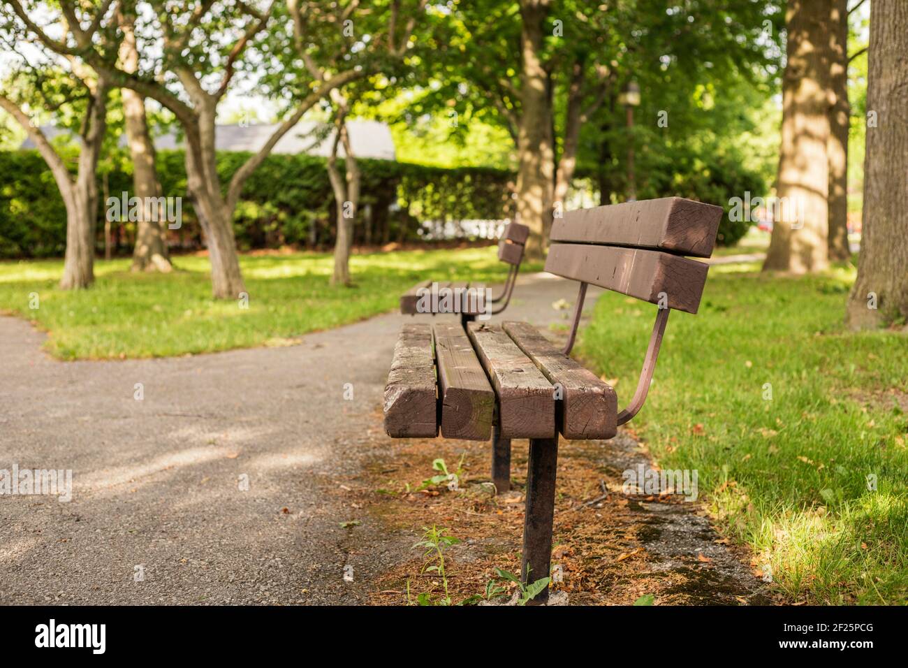 Old wooden benches in the local park on a beautiful sunny summer day ...