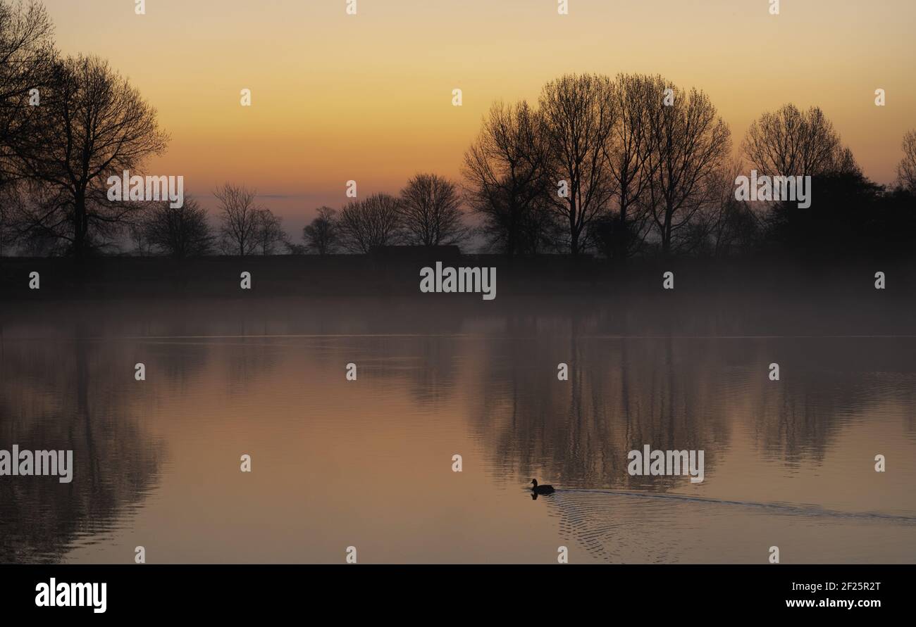 Sunrise over Ellerton Park, Yorkshire Stock Photo - Alamy