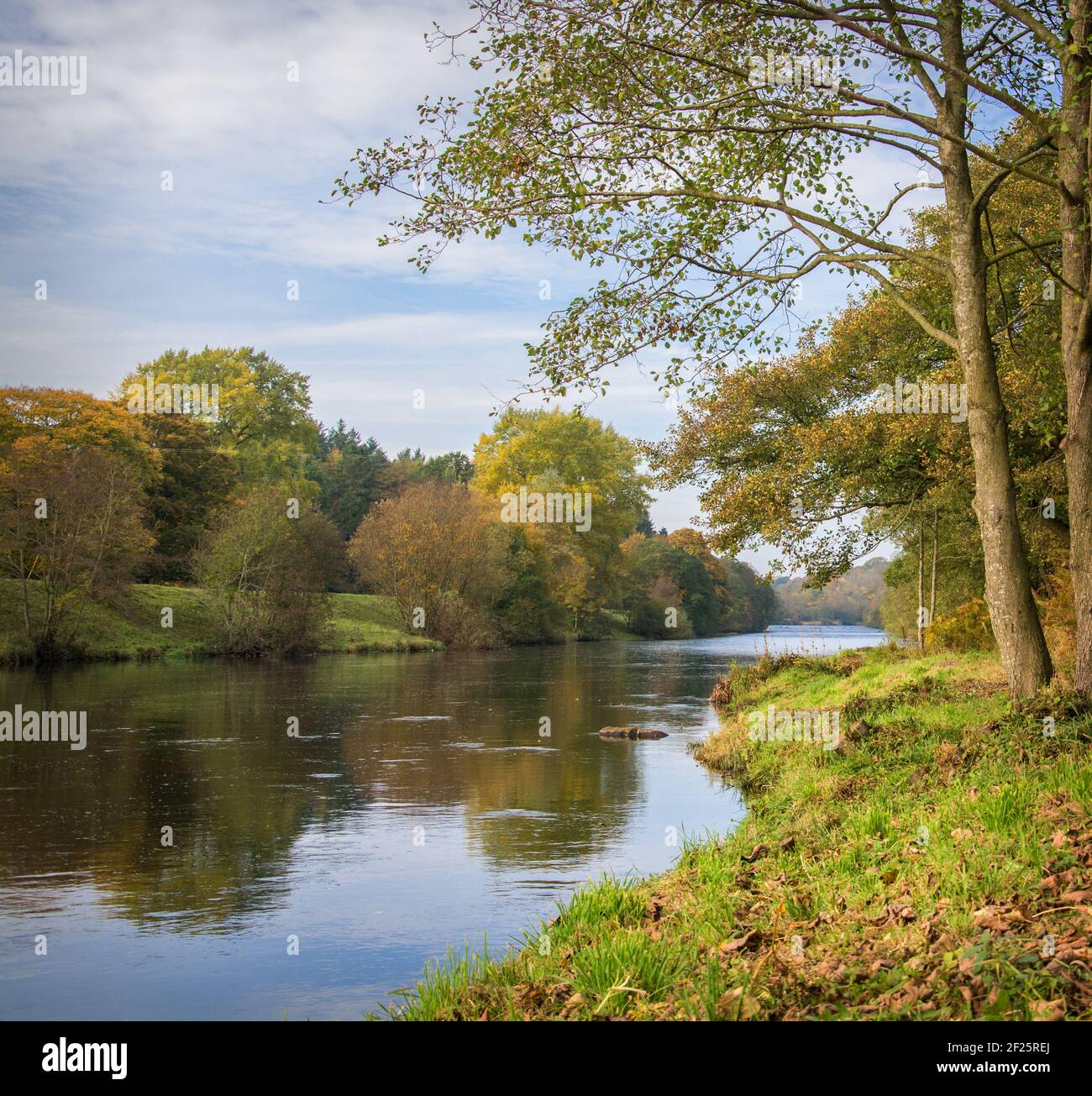 River North Tyne Wark Stock Photo - Alamy