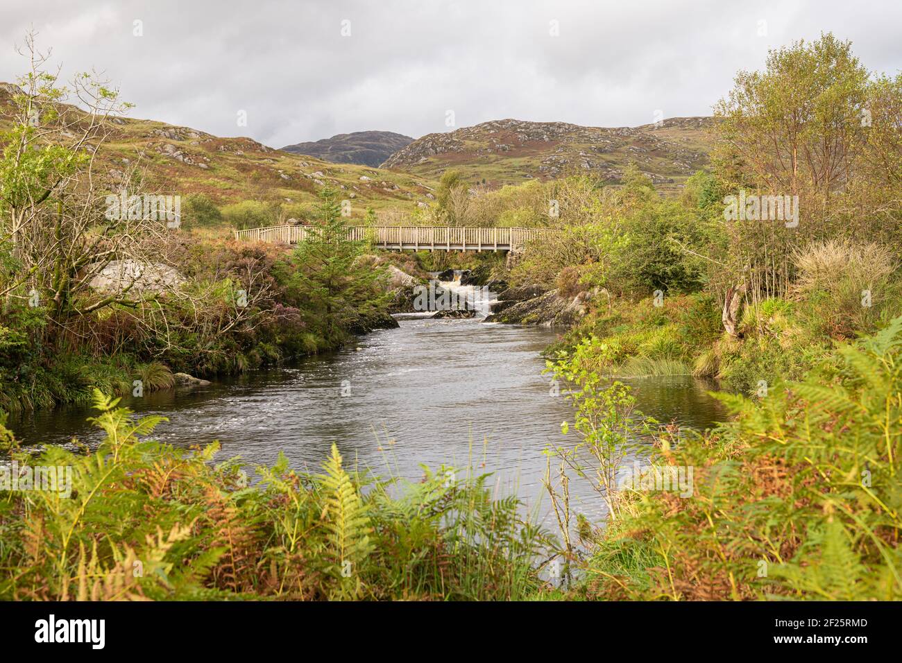 Footbridge over Palnure Burn, Dumfries and Galloway, Scotland Stock ...