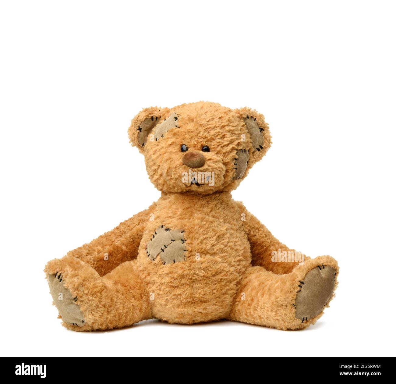 Big brown bear sits Cut Out Stock Images & Pictures - Alamy