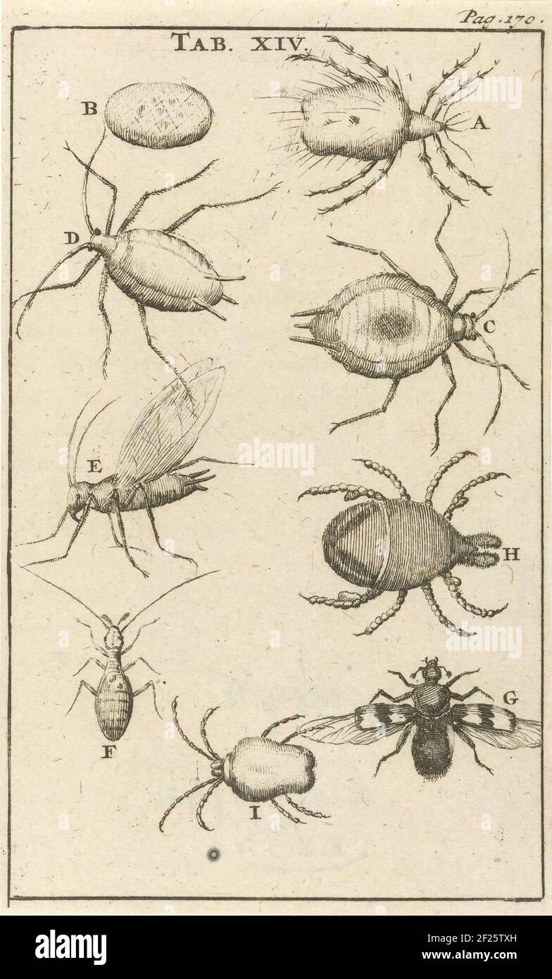 Labeled 170 hi-res stock photography and images - Alamy