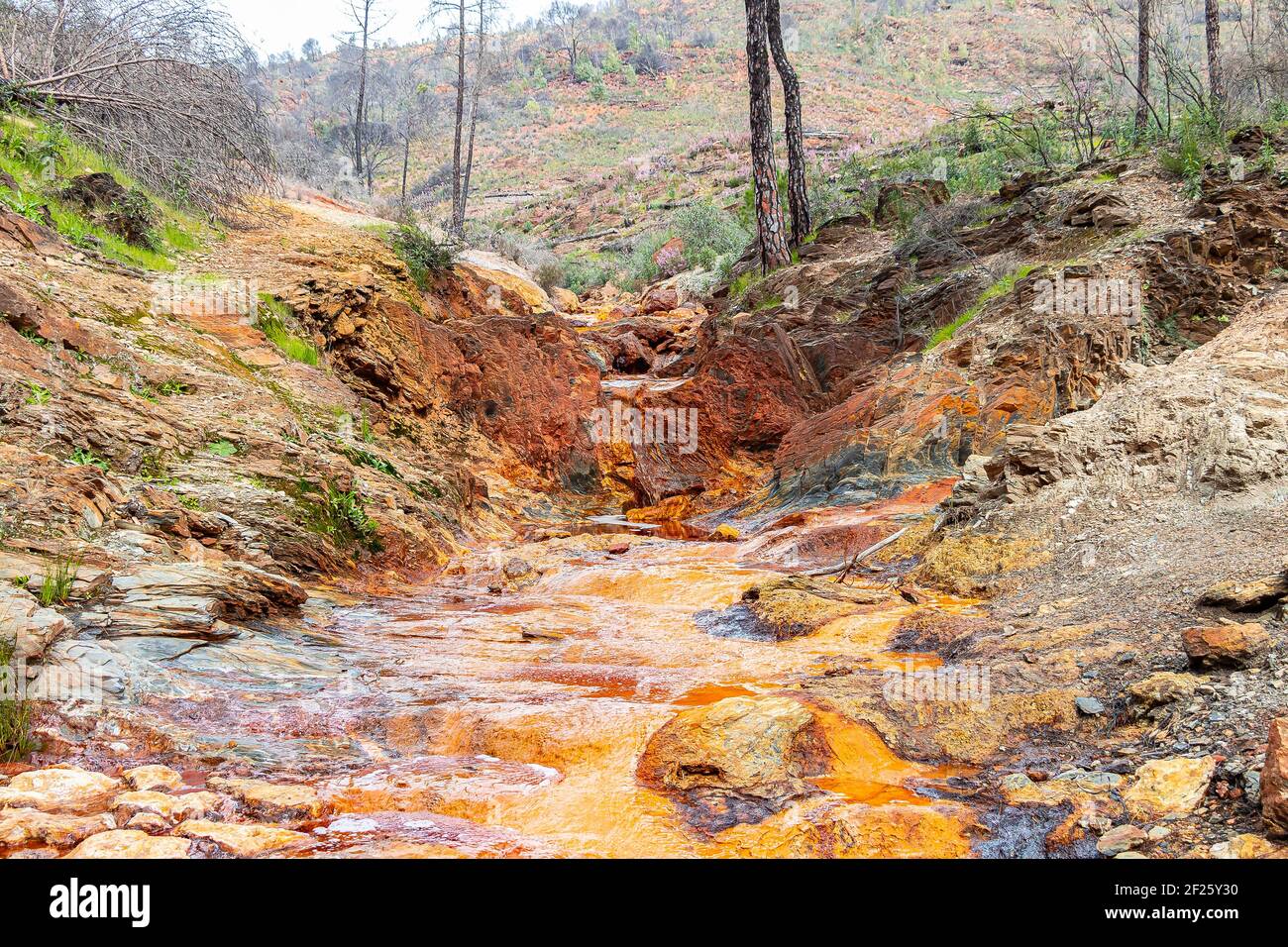 Acidic river tinto hi-res stock photography and images - Alamy