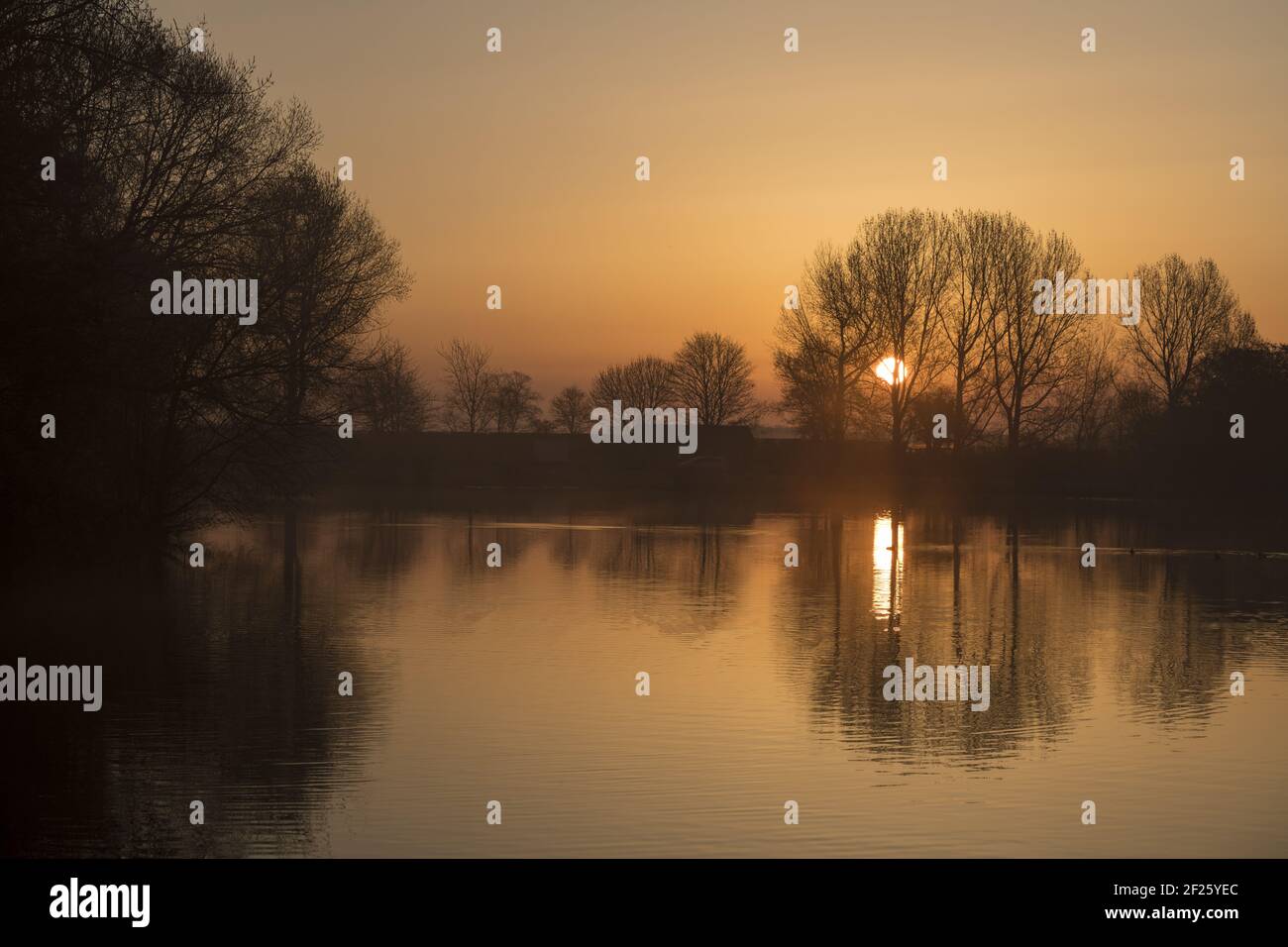 Sunrise, Ellerton Park, Yorkshire, England Stock Photo - Alamy