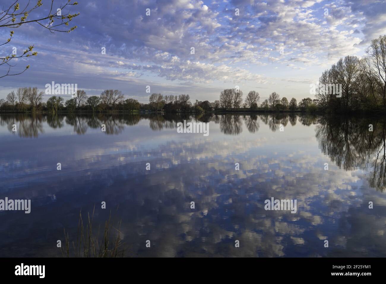 Ellerton see hi-res stock photography and images - Alamy