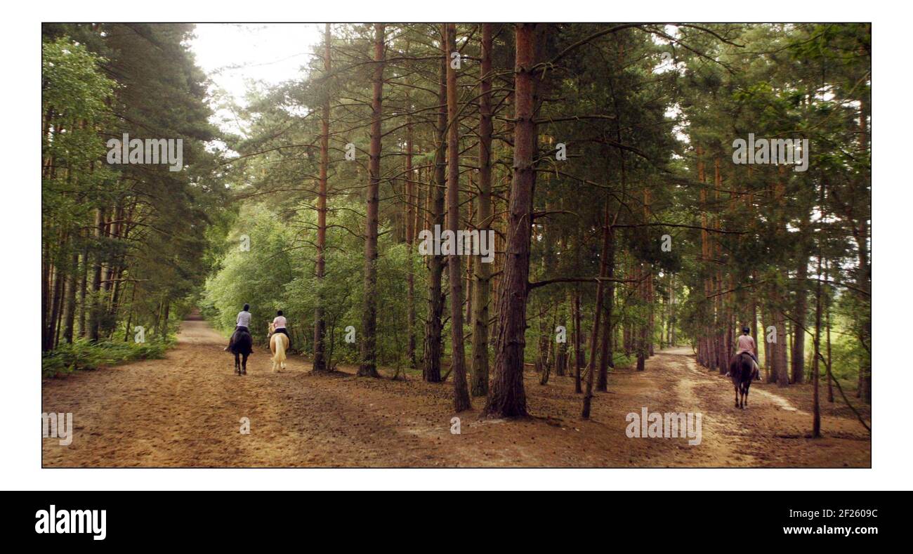 Blackheath common where the Duke of Northumberland wants to install a ...