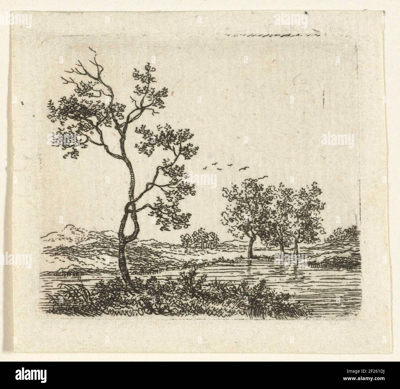 River landscape with trees Stock Photo - Alamy