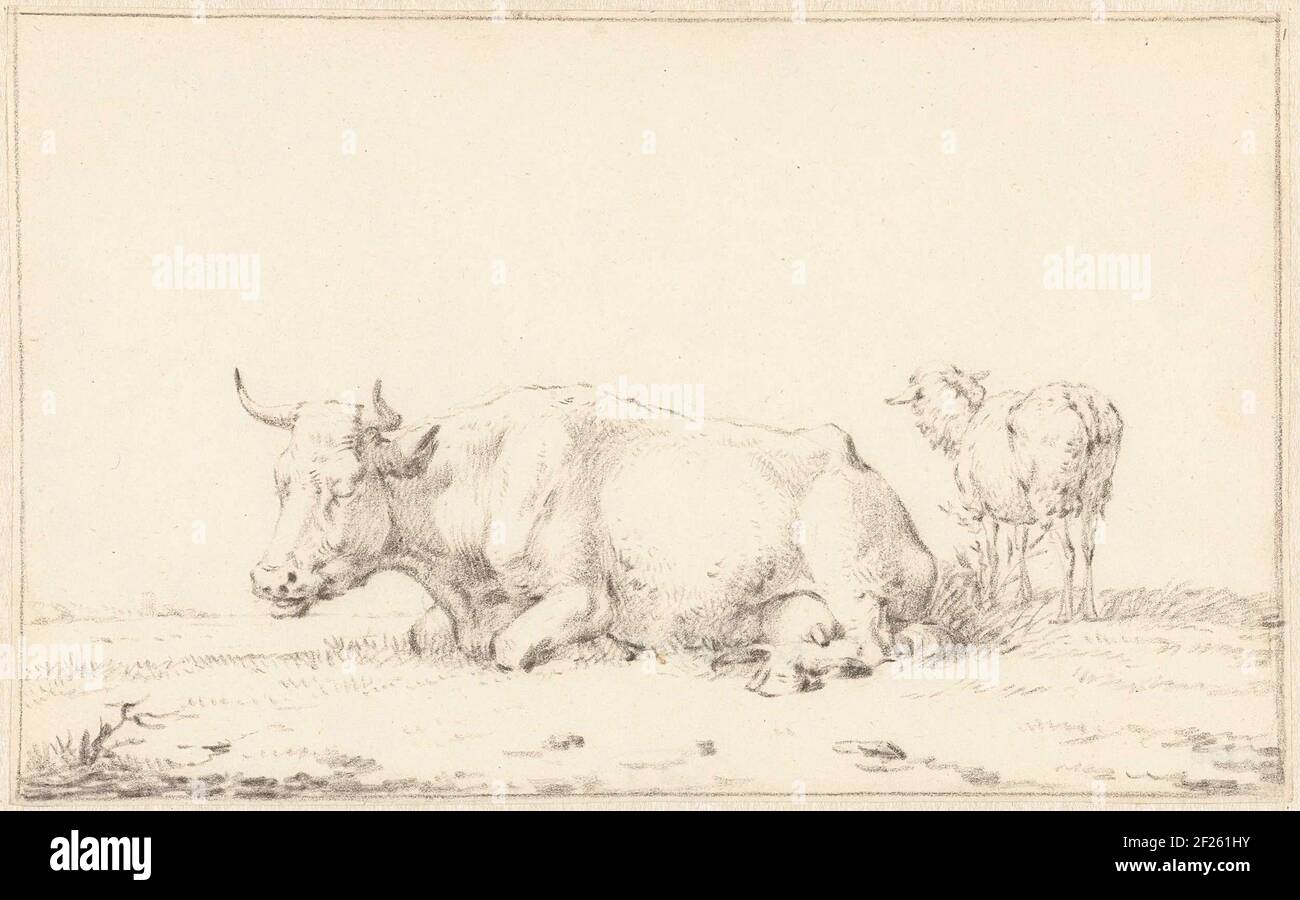Lying cow to the left and right a sheep Stock Photo - Alamy