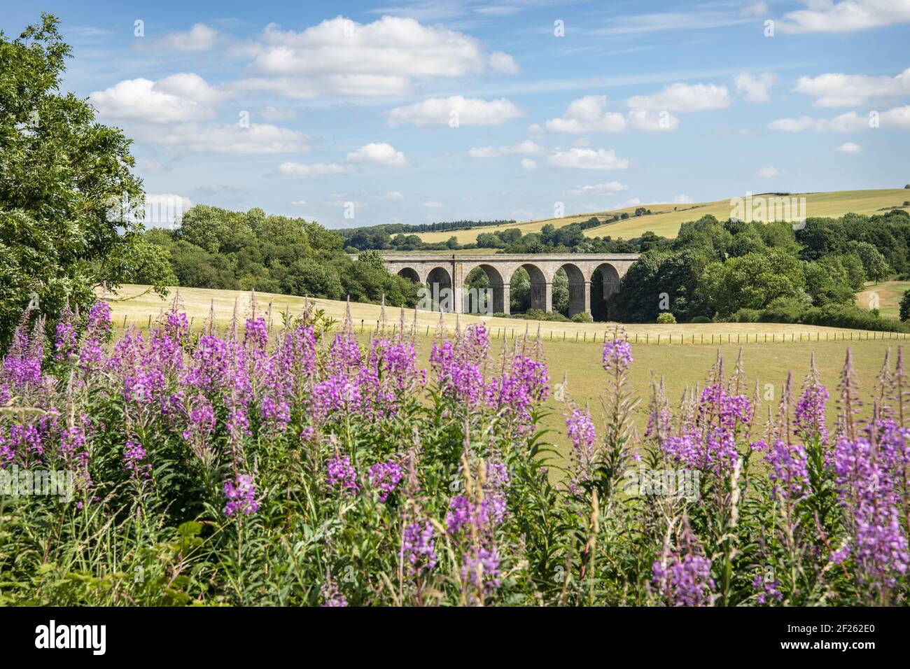 Roxburgh Railway Viaduct, Scotland Stock Photo - Alamy