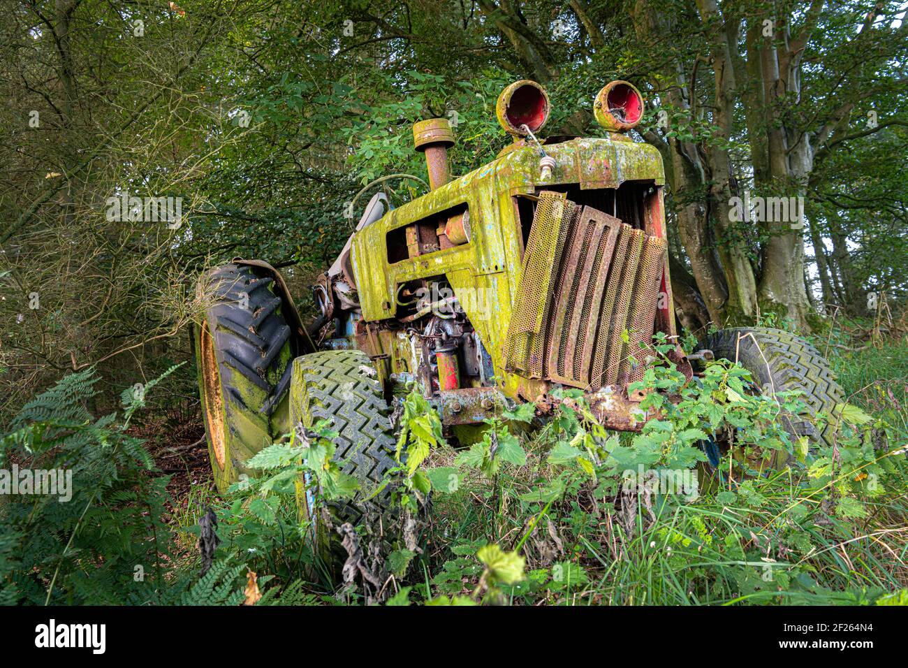 Rusty old tractor in forest hi-res stock photography and images - Alamy