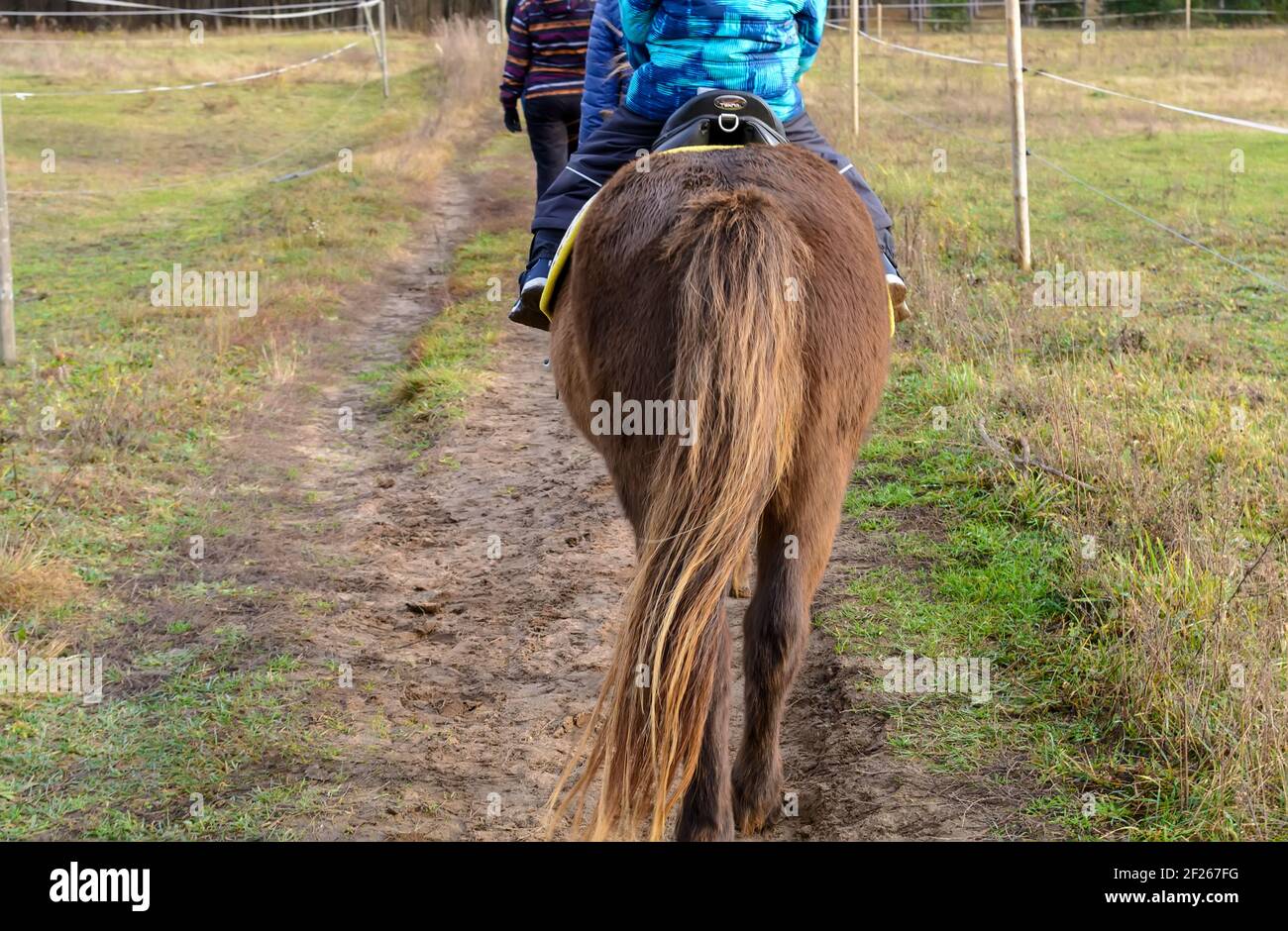 Person riding on horseback away hi-res stock photography and images - Alamy