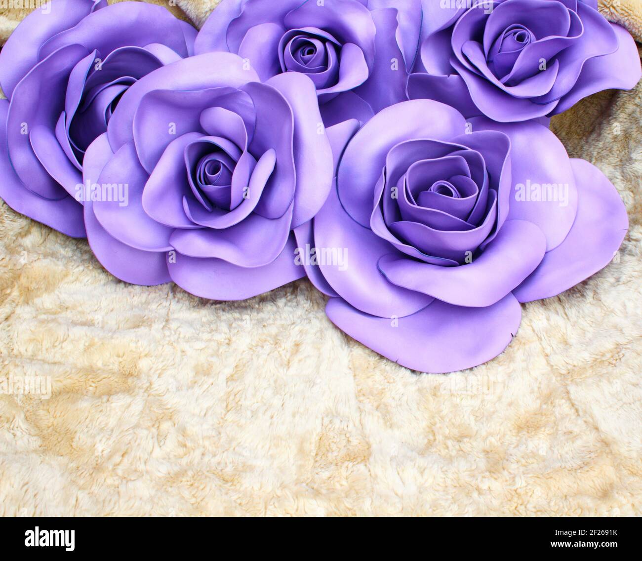Lilac rose flower held by woman´s hands in the act of giving Stock ...