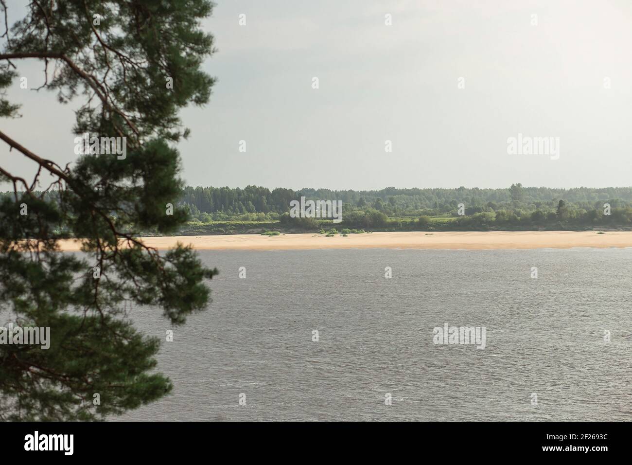Wild untouched nature is a big river in summer rain Stock Photo - Alamy