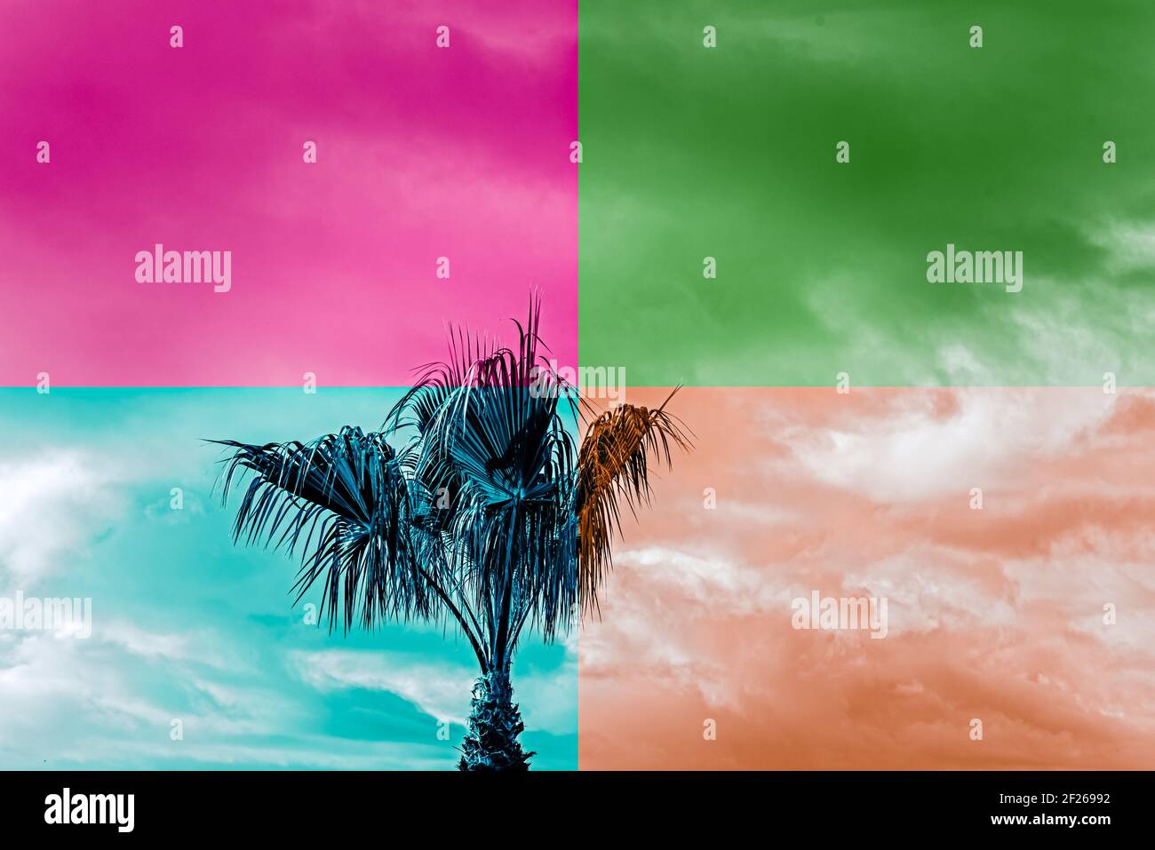 4 color background hi-res stock photography and images - Alamy