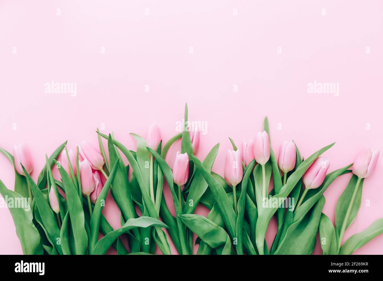 Light pink color hi-res stock photography and images - Alamy