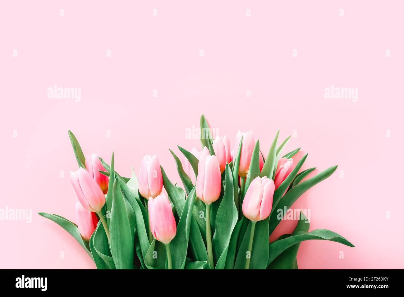 Light pink color hi-res stock photography and images - Alamy