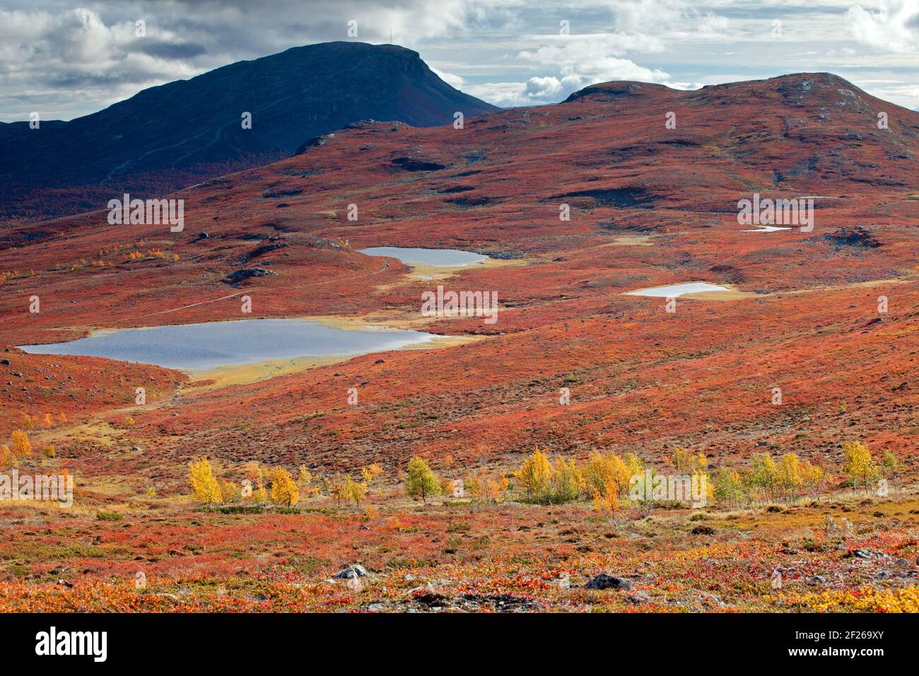 Malla strict nature reserve hi-res stock photography and images - Alamy