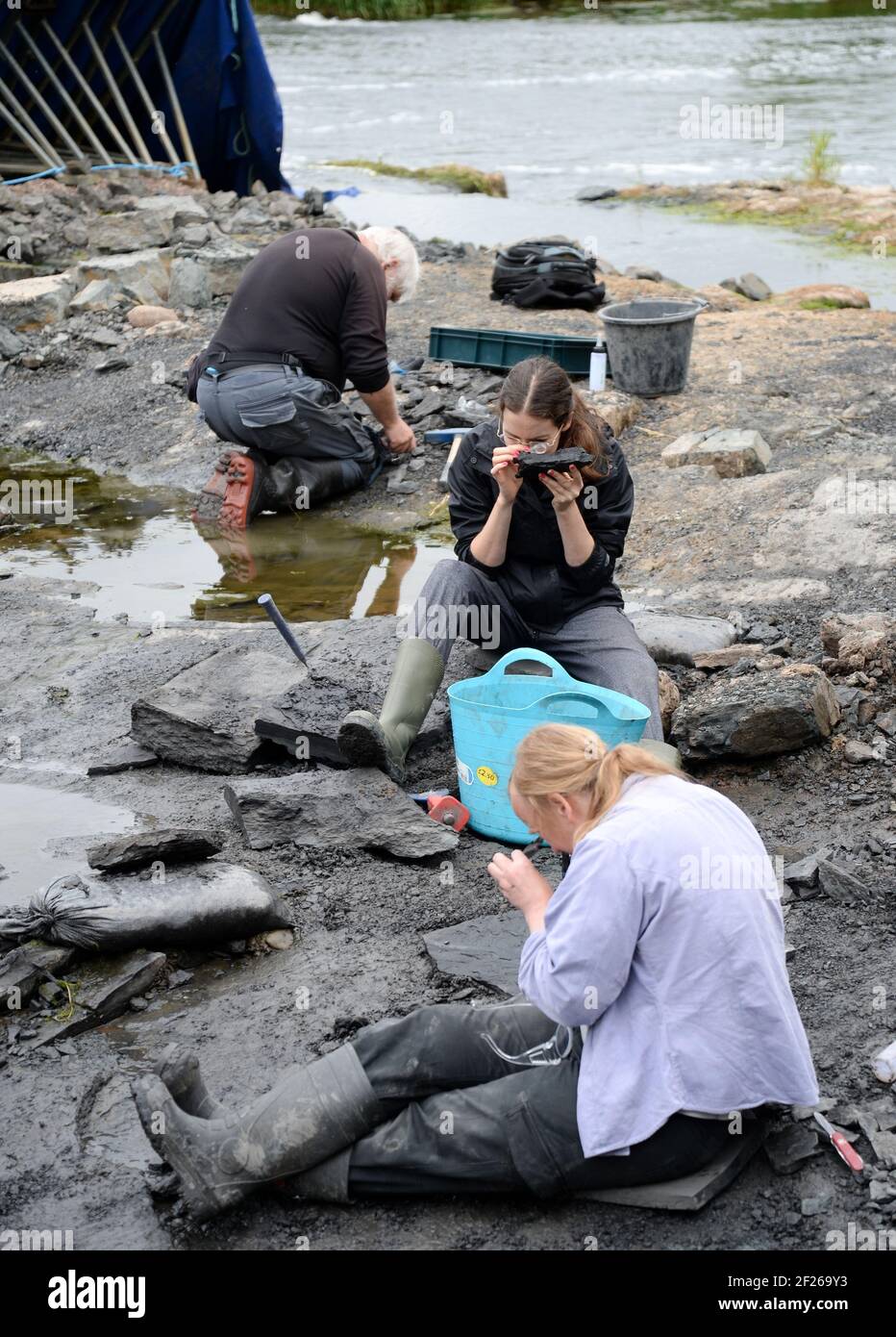 Palaeontologists on the Whiteadder Water near Chirnside in the Scottish ...