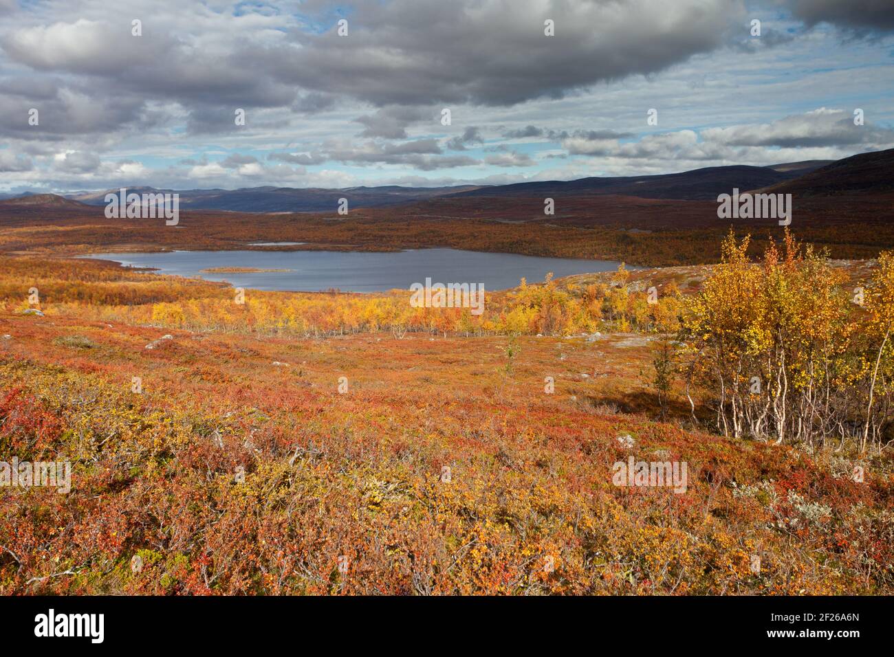 Malla strict nature reserve hi-res stock photography and images - Alamy