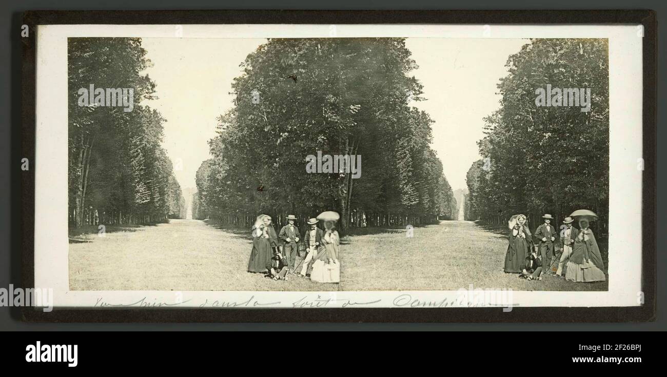 View taken in the Forest of Compiegne Stock Photo - Alamy