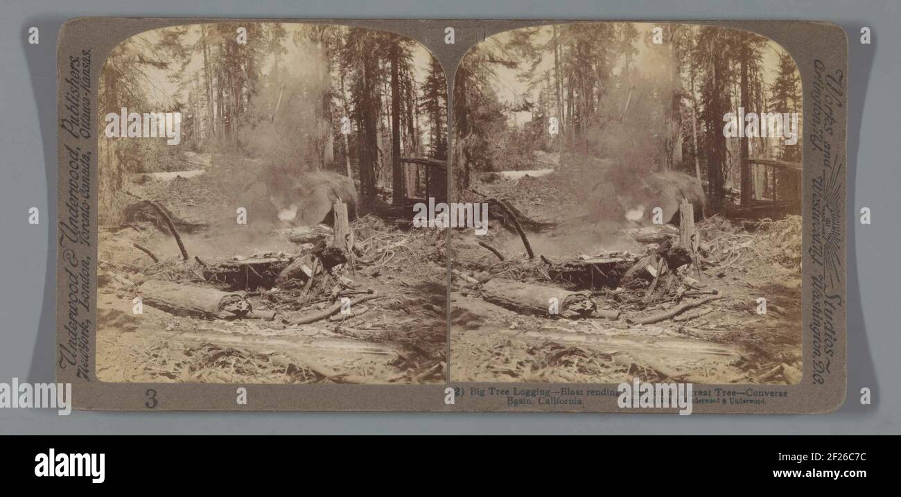 Environmental destruction logging operations hi-res stock photography ...