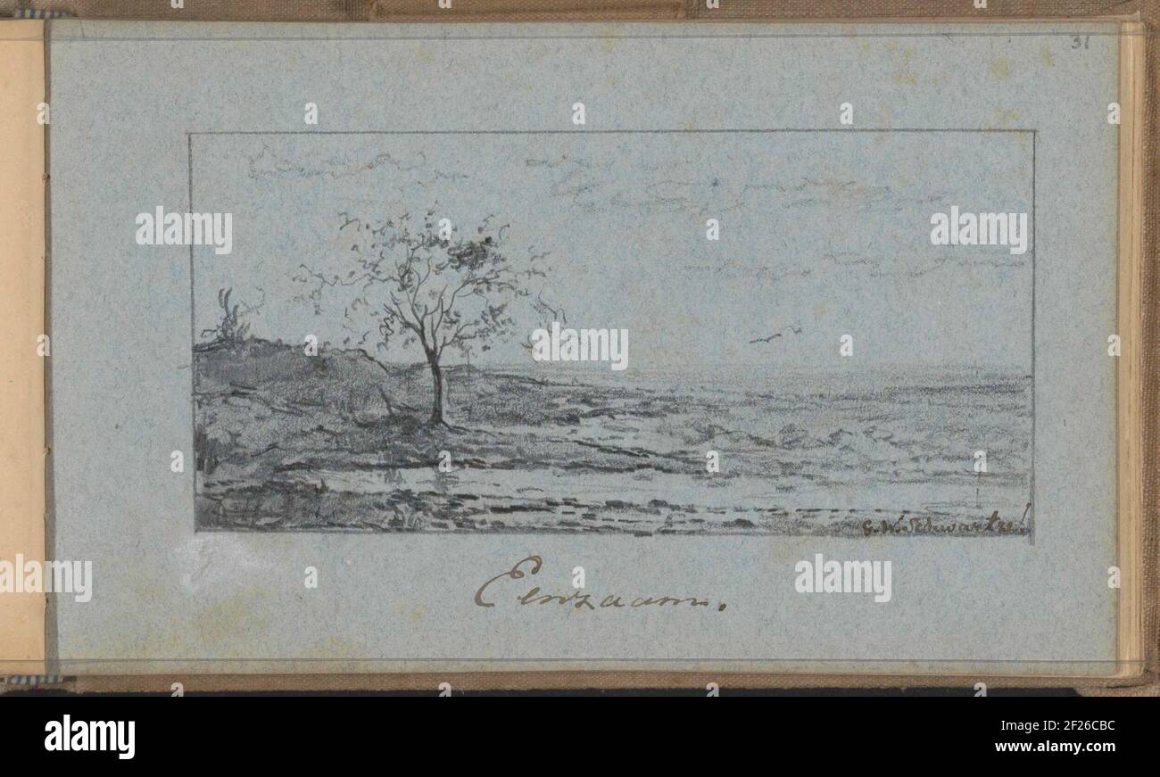 Tree on a waterfront; Lonely..Drawing in a frame. Leaf 31 Recto from a ...