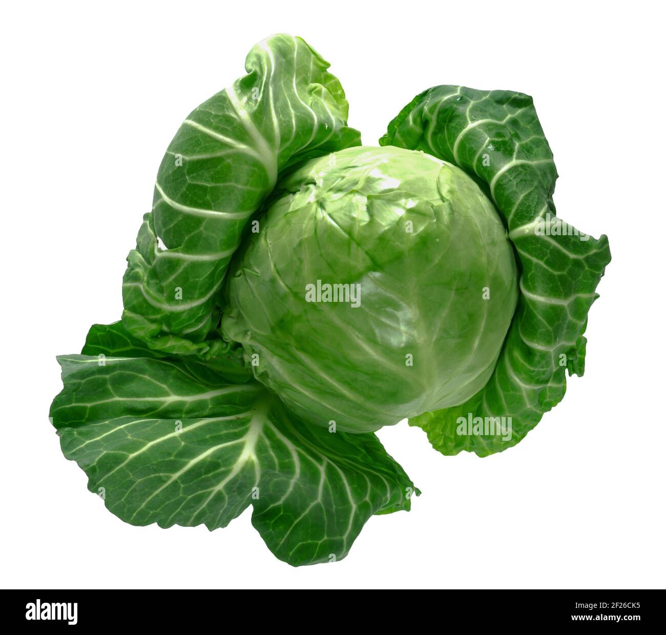 Head of green young fresh cabbage with fluffed leaves, on a white ...