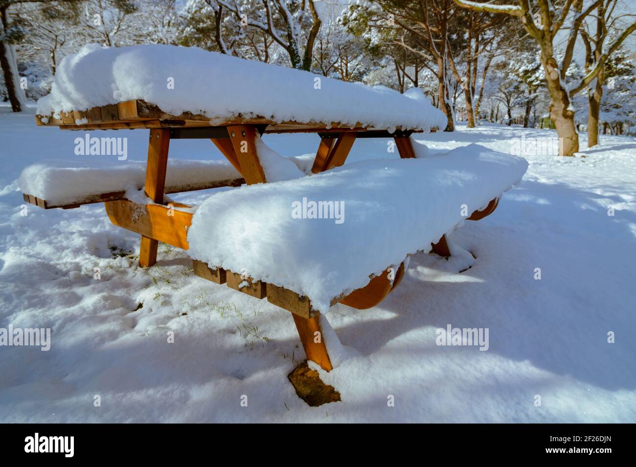 Picnic table in the forest hi-res stock photography and images - Alamy