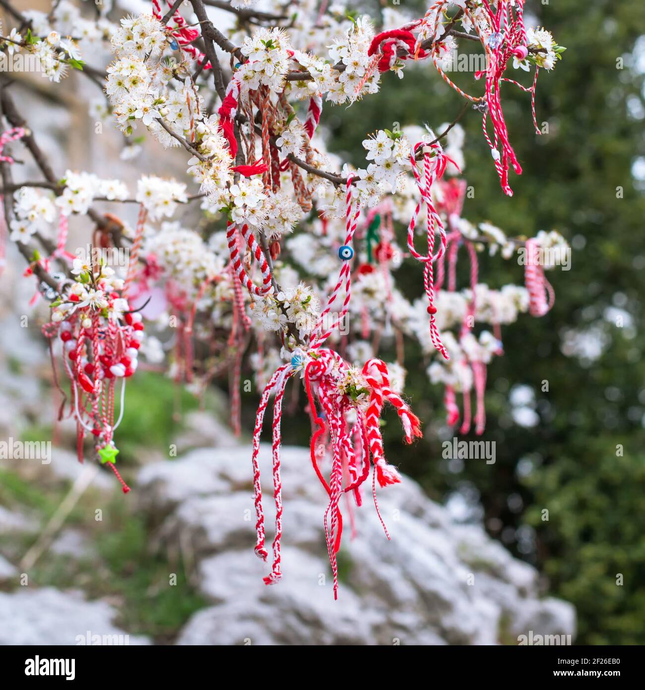 Different Bulgarian Martenitsa on blossoming tree Stock Photo - Alamy