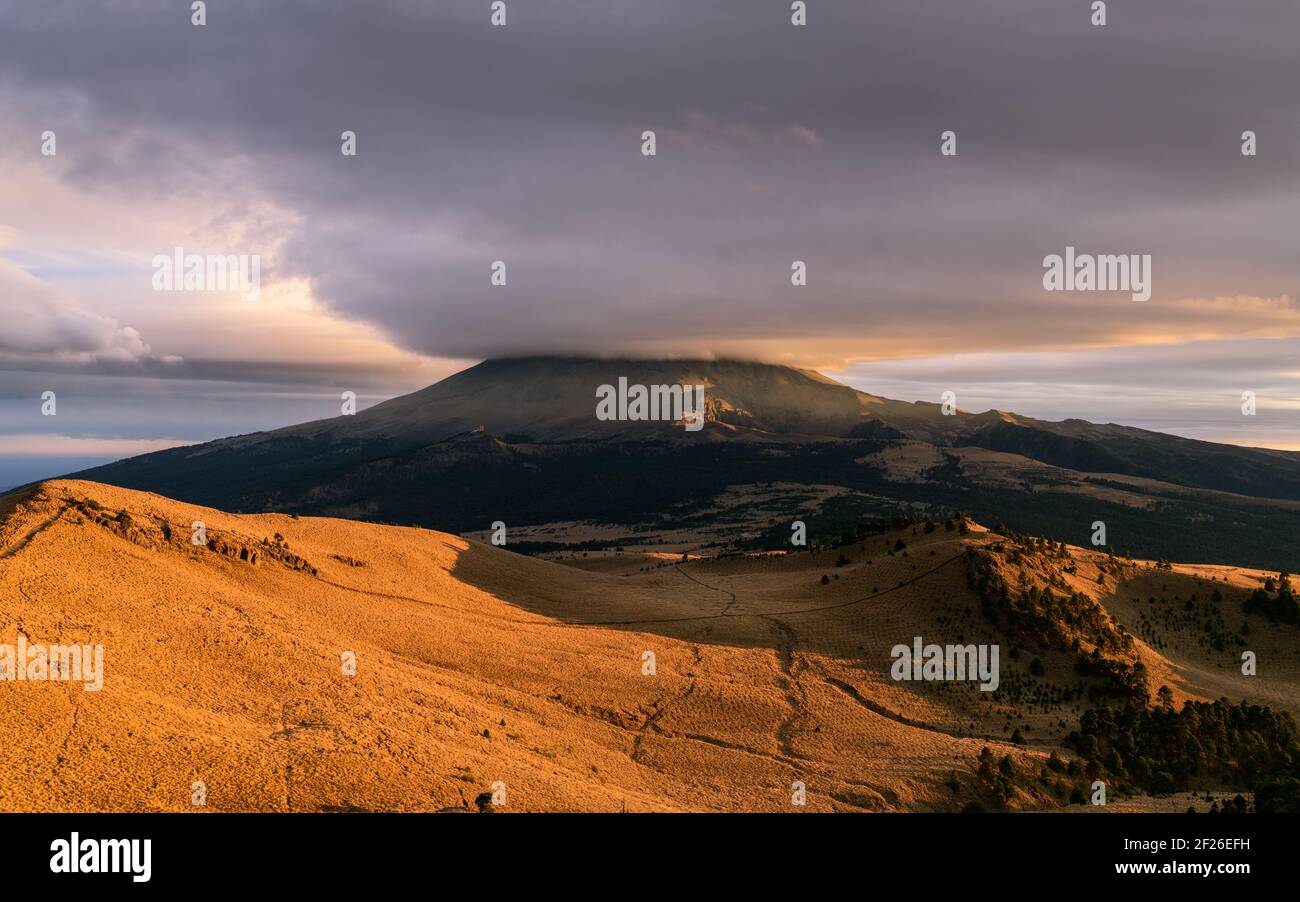Lenticular structure hi-res stock photography and images - Alamy