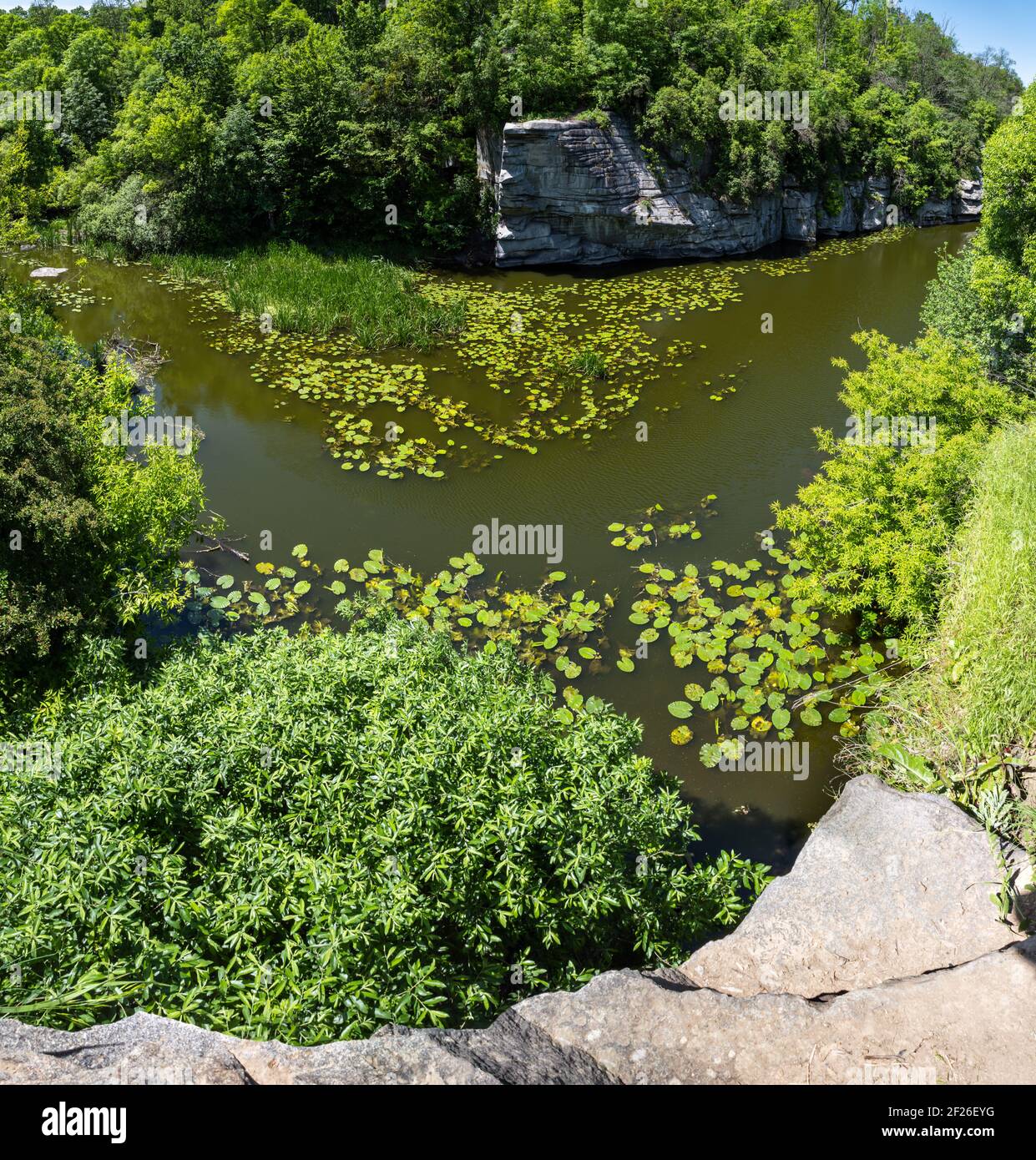 Buki park hi-res stock photography and images - Alamy