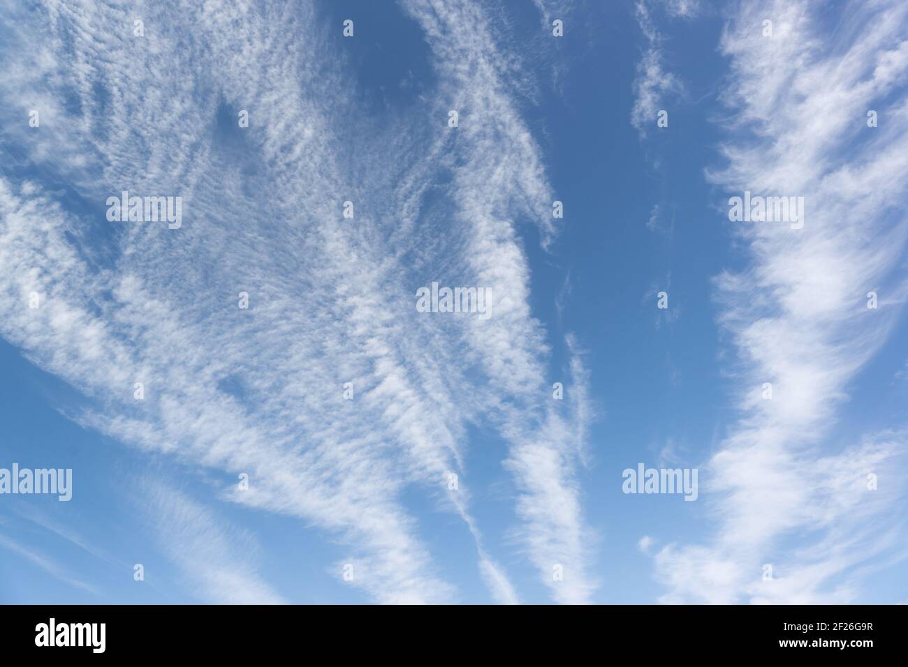 Cirrus clouds - separate thin, light clouds with a fibrous and ...