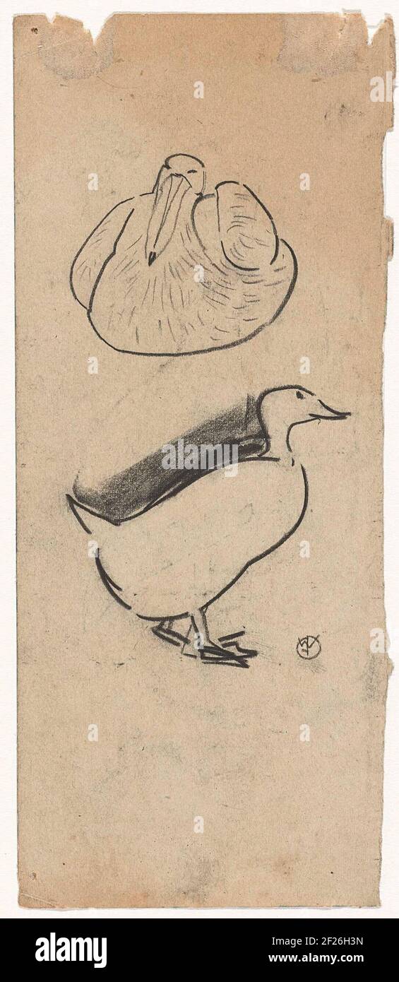 Seated bird hi-res stock photography and images - Alamy