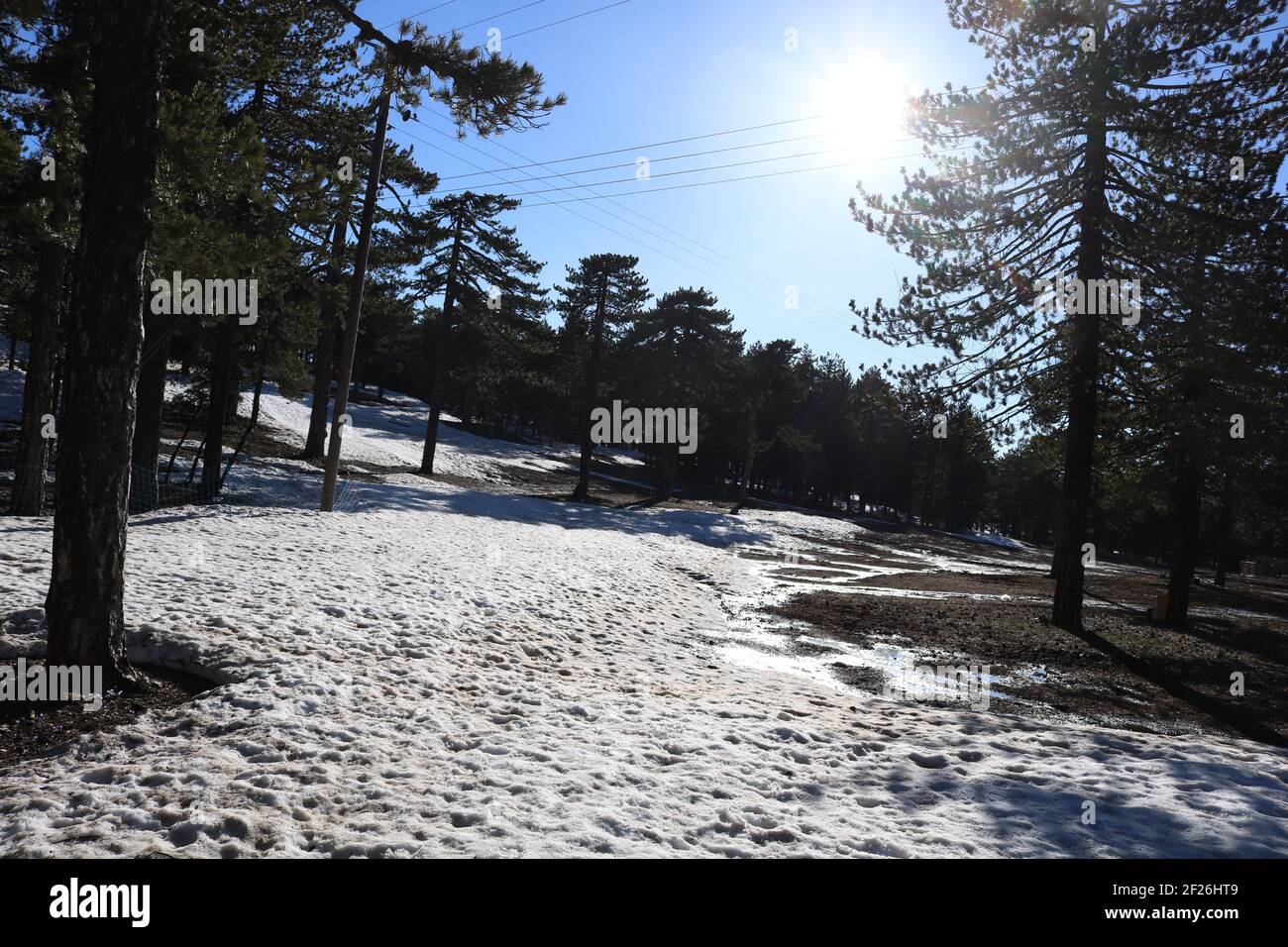 Snow scene at the Troodos Mountains, Cyprus Stock Photo - Alamy