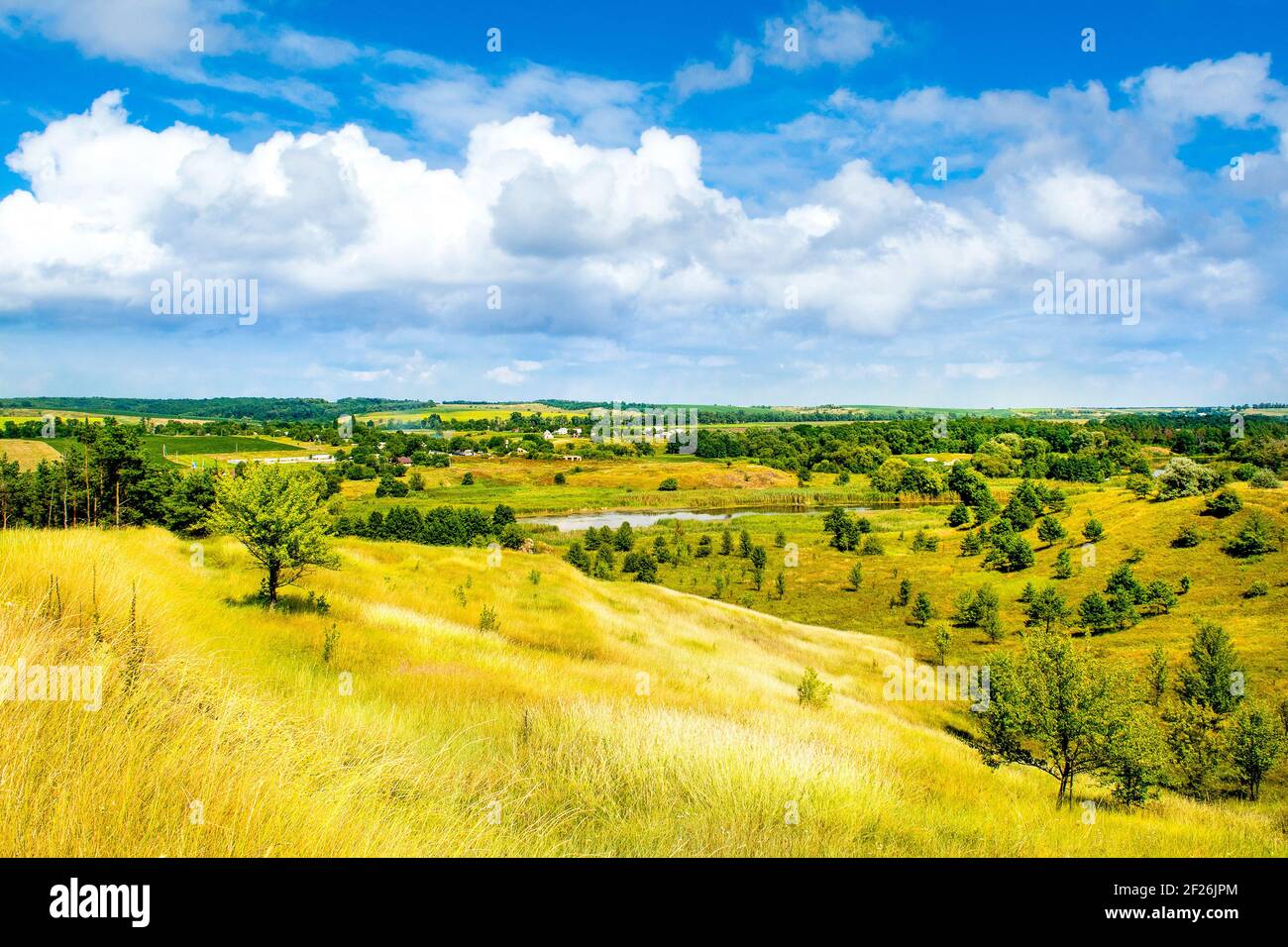Beautiful summer rural landscape with a field of wheat, flower meadow ...
