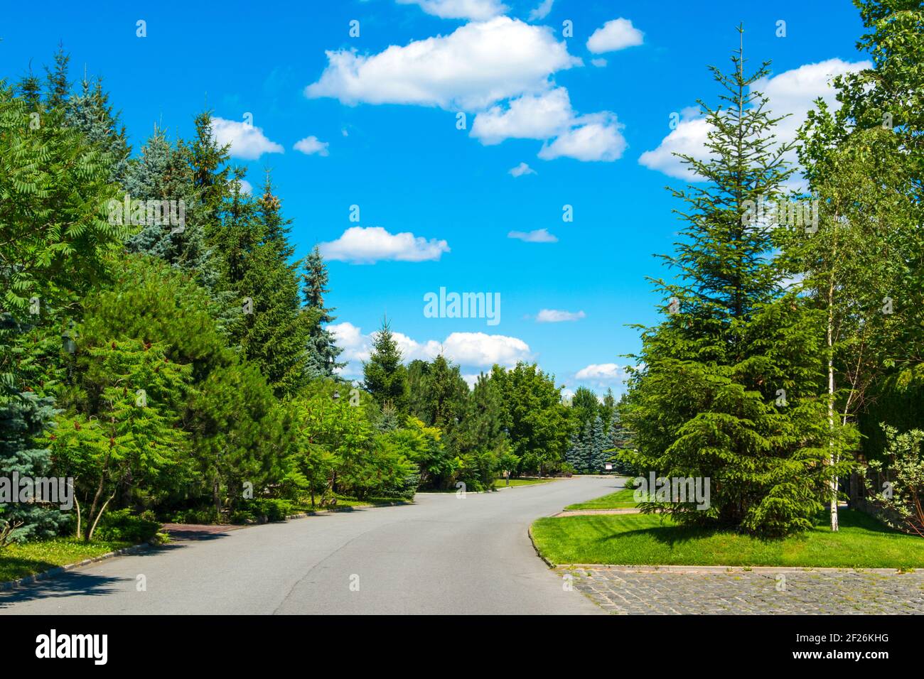 A beautiful rural landscape with a countryside road with green trees ...