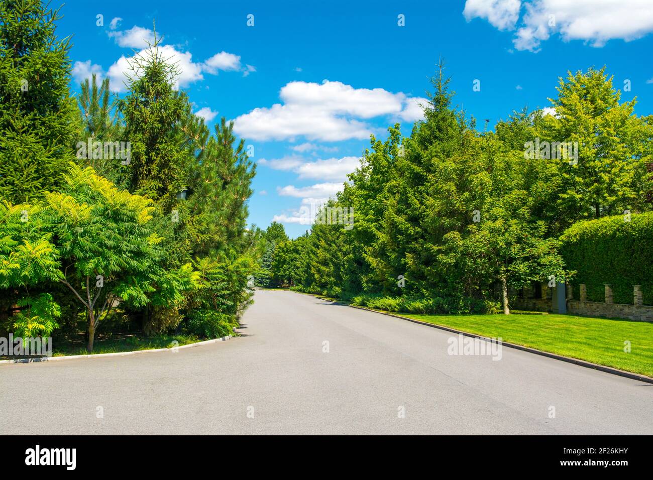 A beautiful rural landscape with a countryside road with green trees ...