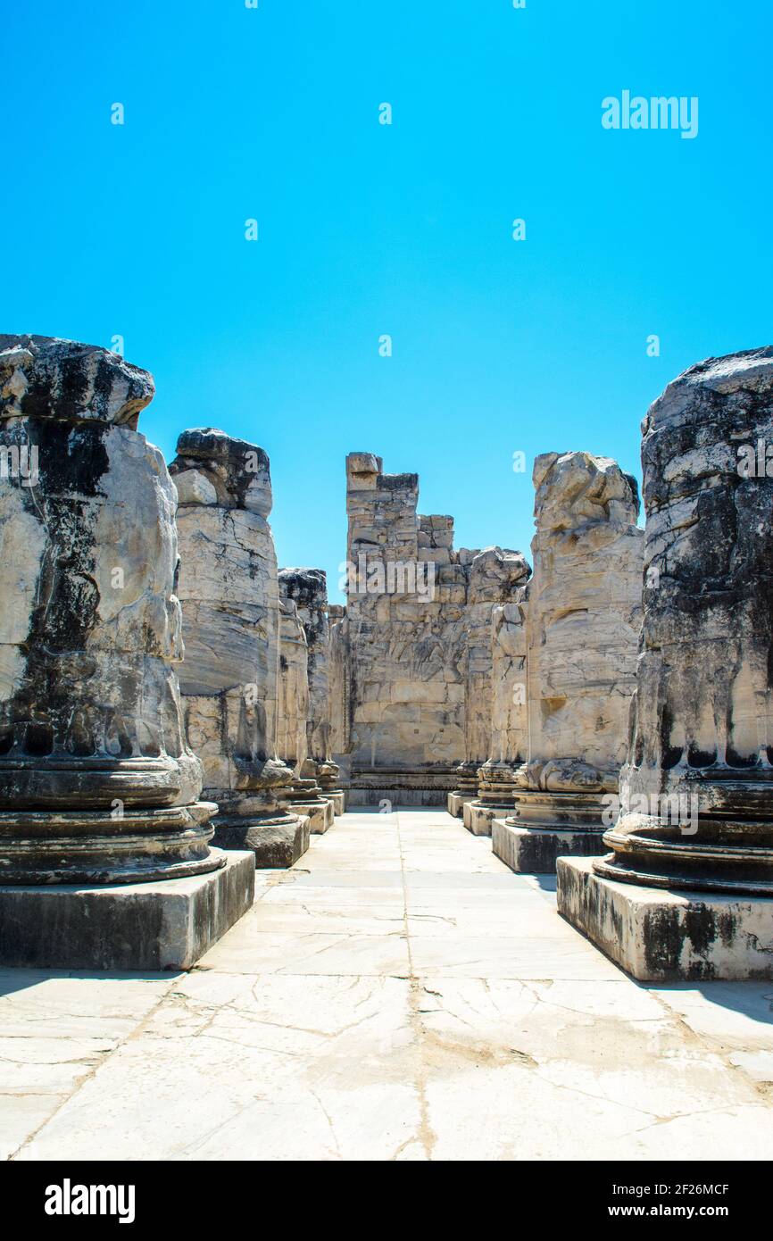 Ruins of the Temple of Apollo in Didim, Turkey Stock Photo - Alamy