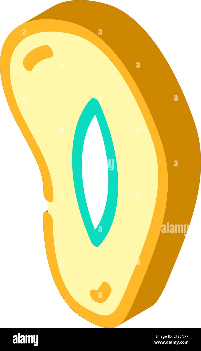 cut mango food isometric icon vector illustration Stock Vector Image ...