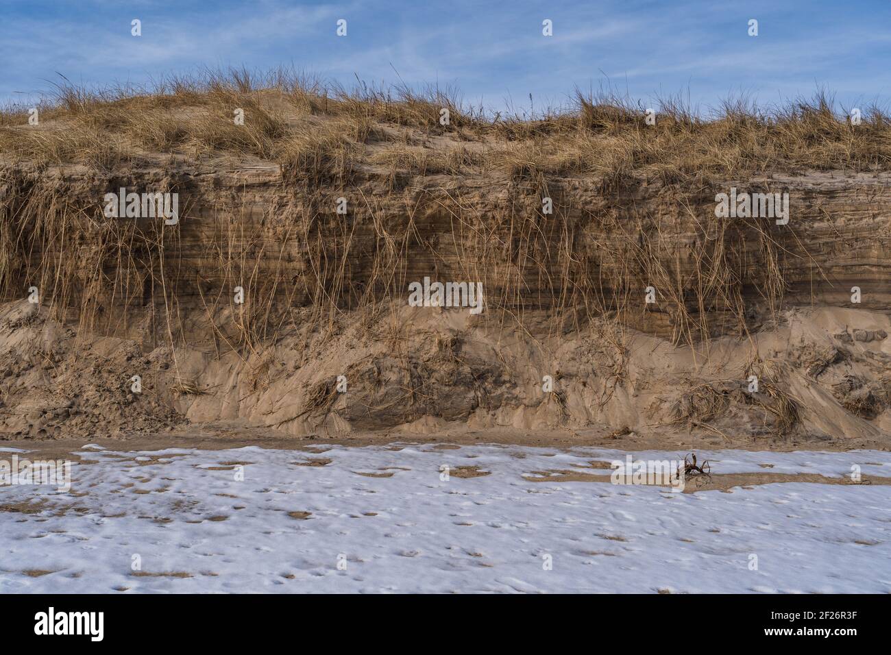 Close up of the sand dunes in Montauk, with snow covering the sand ...