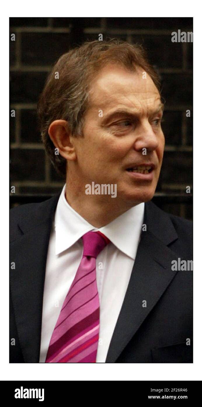 27 leaves Cut Out Stock Images & Pictures - Alamy