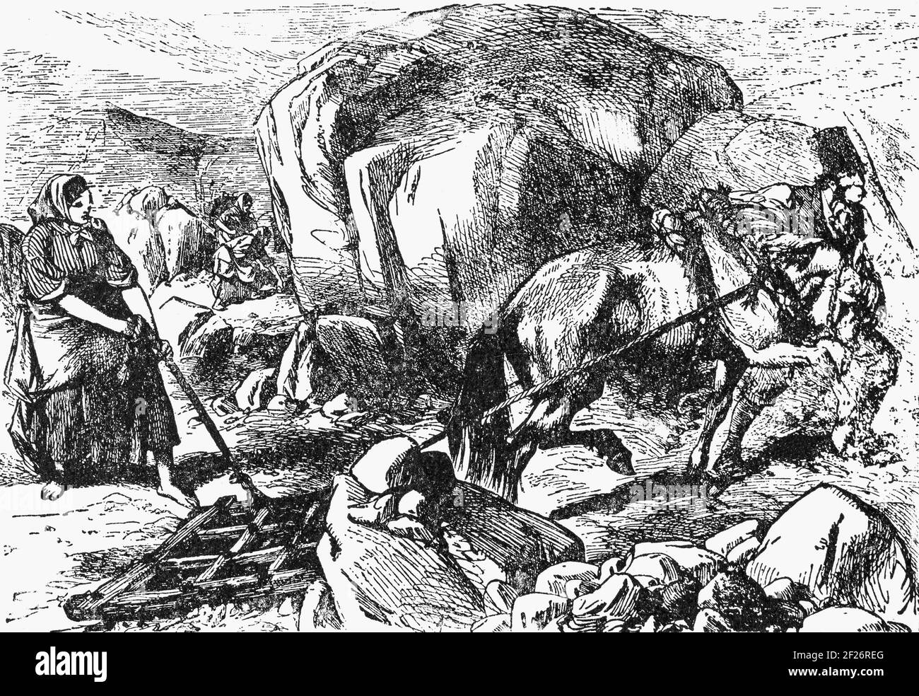 Primitive Subsistence Farming