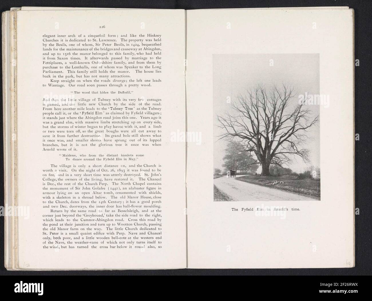 Fyfield elm hi-res stock photography and images - Alamy