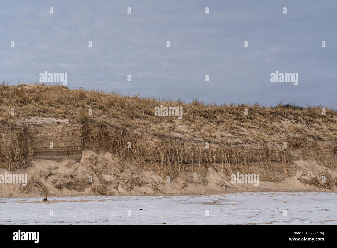 Close up of the sand dunes in Montauk, with snow covering the sand ...
